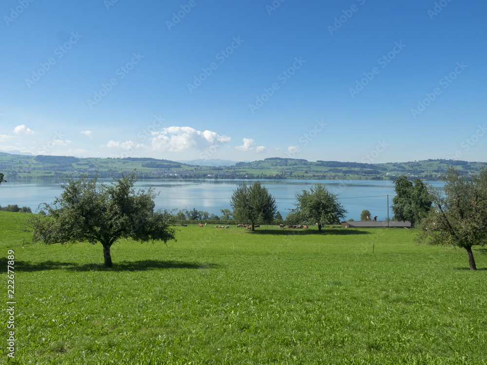 Randonnée autour du lac de Sempach (Sempachersee) dans le canton de ...