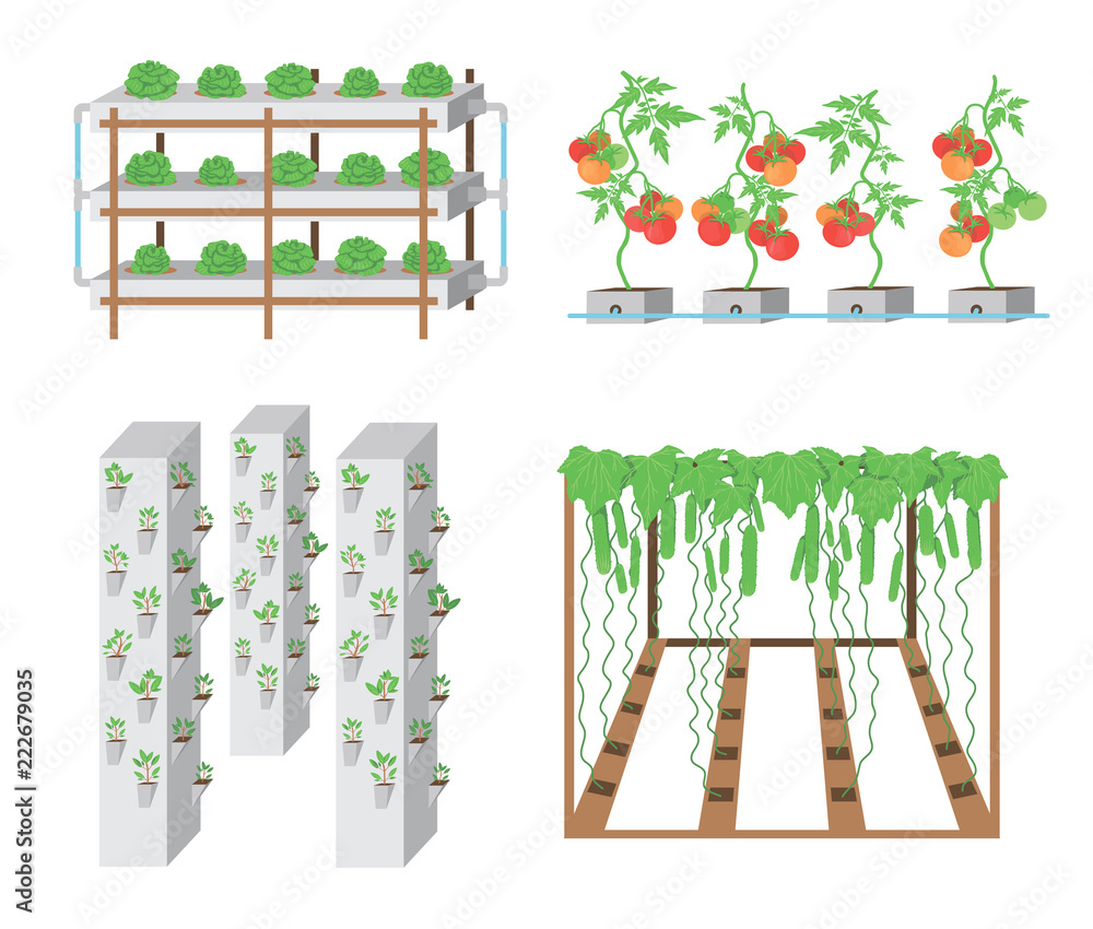 Set of hydroponic plant growth systems. Vegetables and grass growing in ...