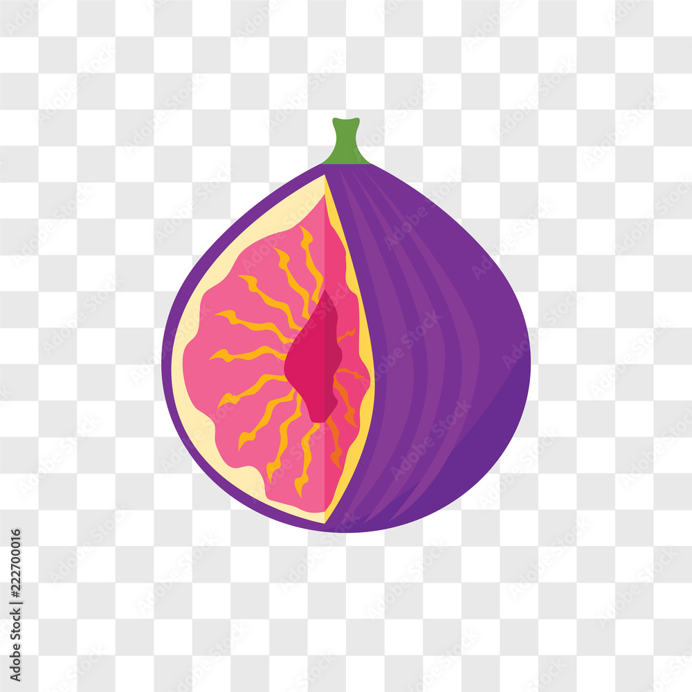 fig icons isolated on transparent background. Modern and editable fig ...