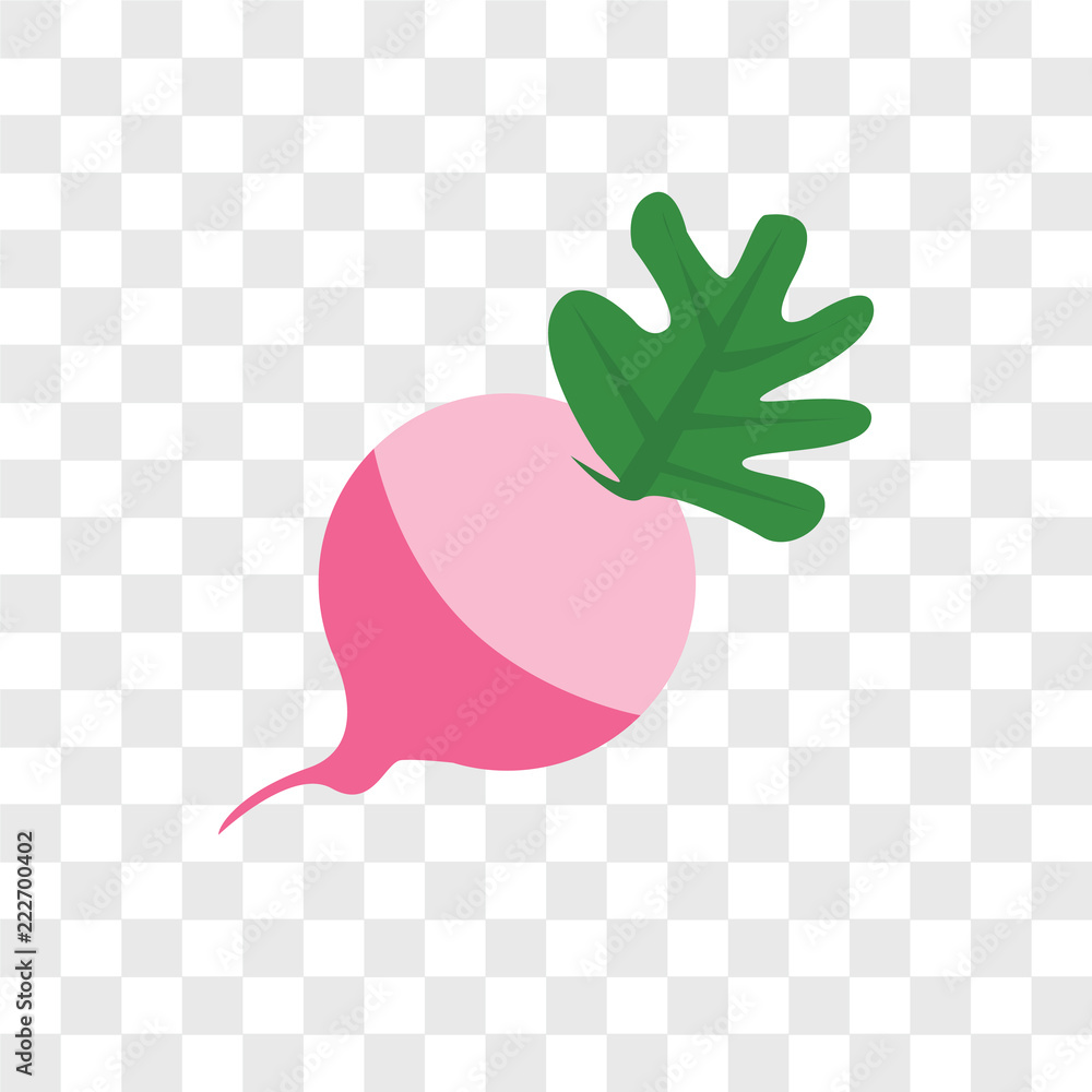radish icons isolated on transparent background. Modern and editable ...