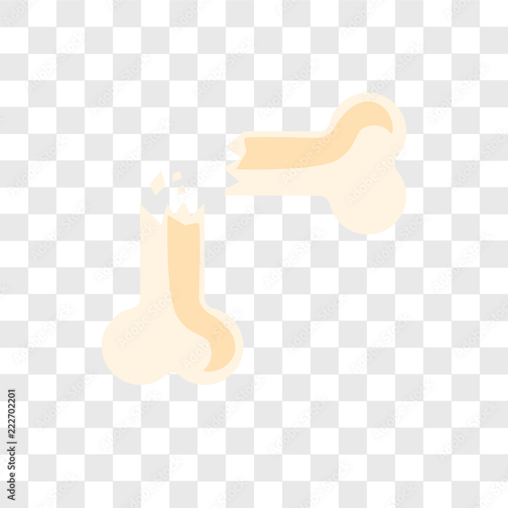 bone icons isolated on transparent background. Modern and editable bone ...