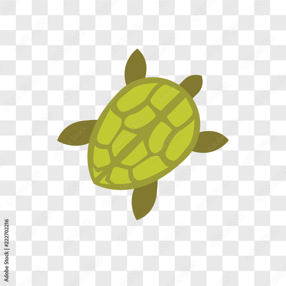 turtle icons isolated on transparent background. Modern and editable ...