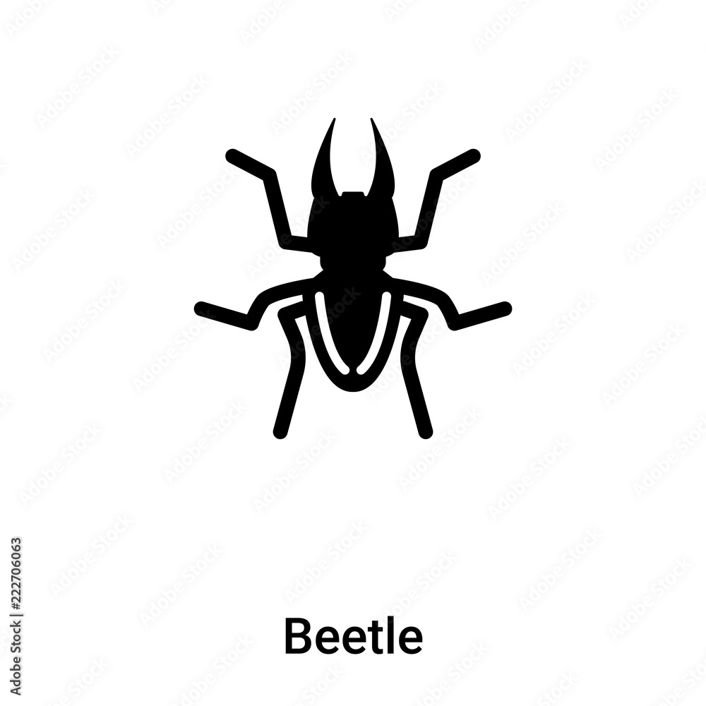 Beetle icon vector isolated on white background, logo concept of Beetle ...