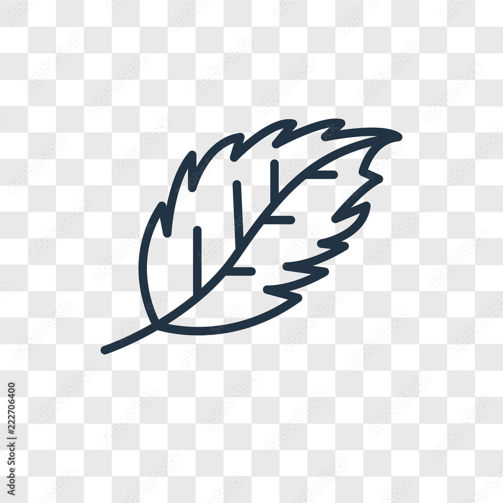 leaf icons isolated on transparent background. Modern and editable leaf ...
