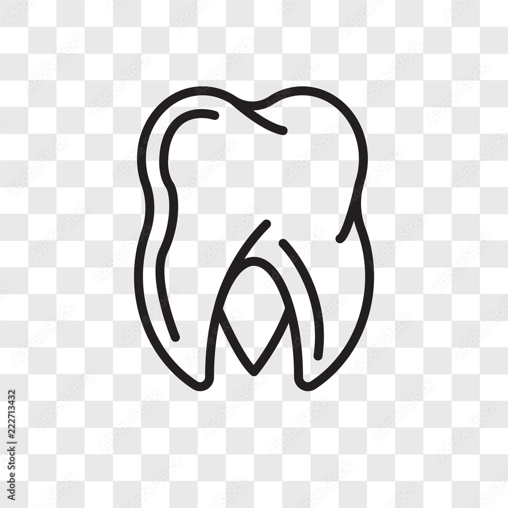 molar icons isolated on transparent background. Modern and editable ...