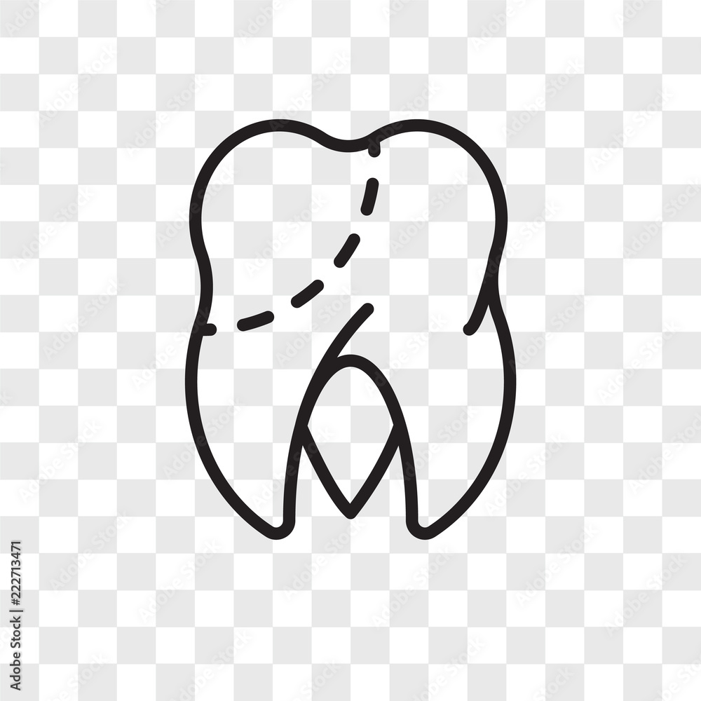 molar icons isolated on transparent background. Modern and editable ...