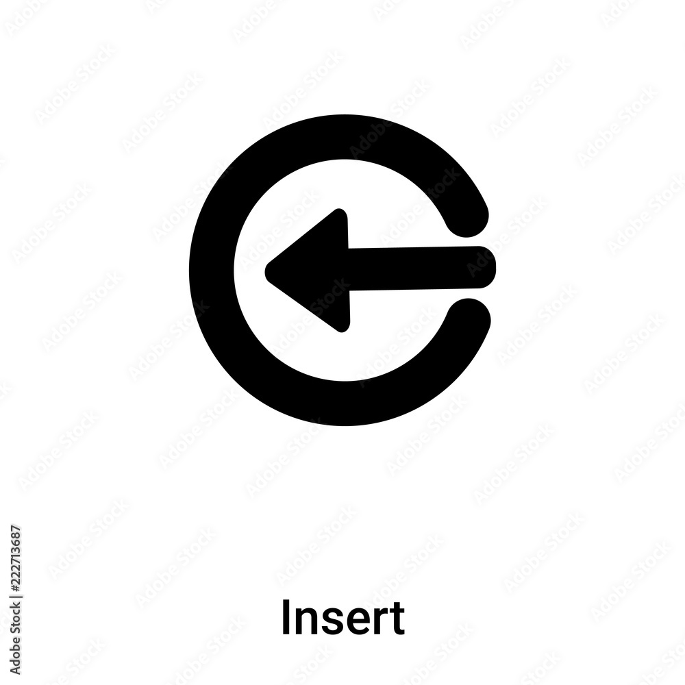 Insert icon vector isolated on white background, logo concept of Insert ...