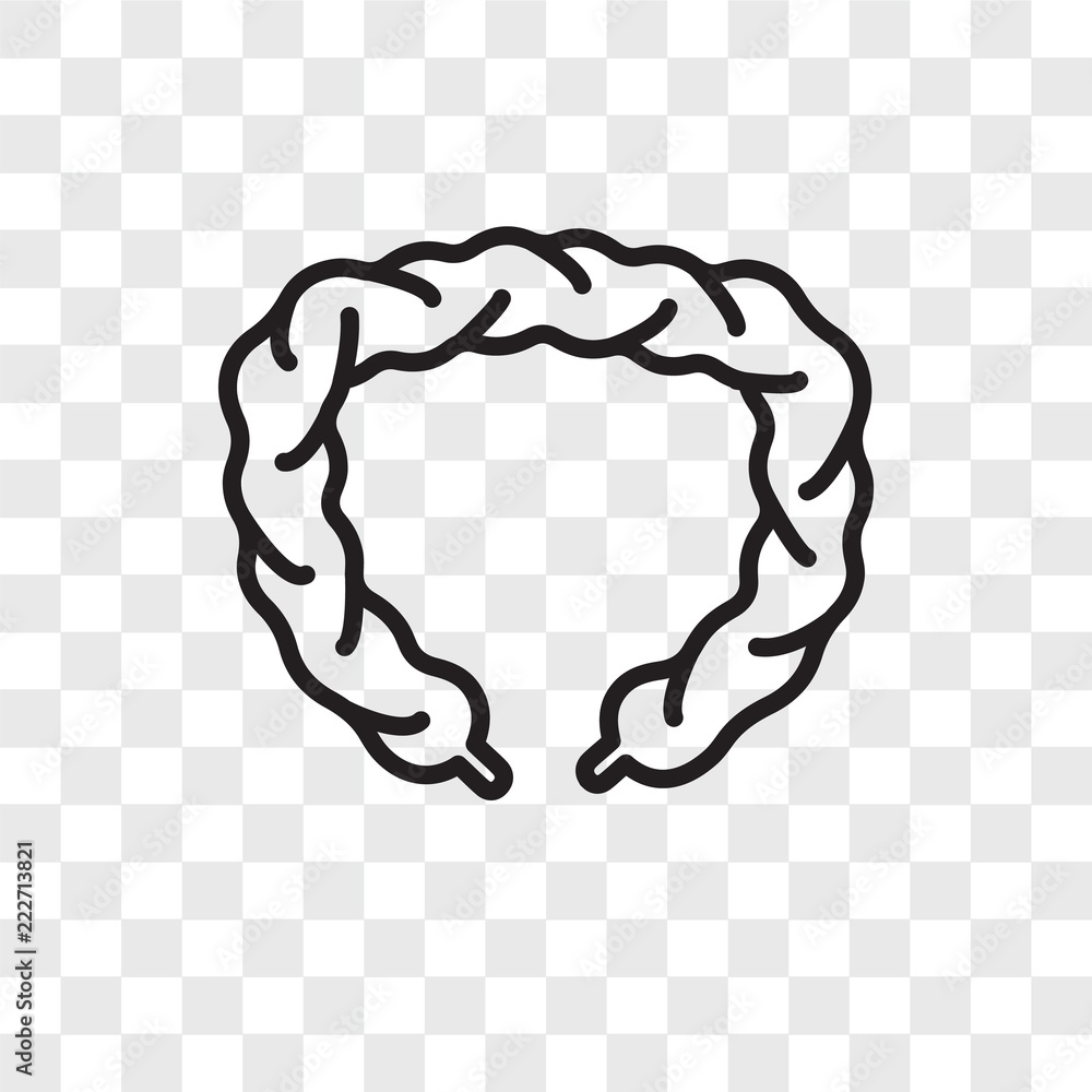 intestines icons isolated on transparent background. Modern and ...