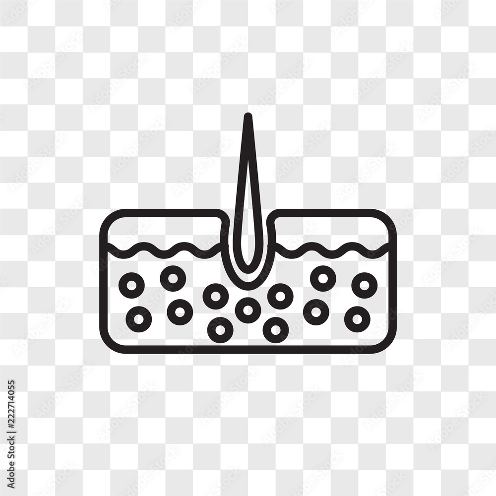 epidermis icons isolated on transparent background. Modern and editable epidermis icon. Simple ...