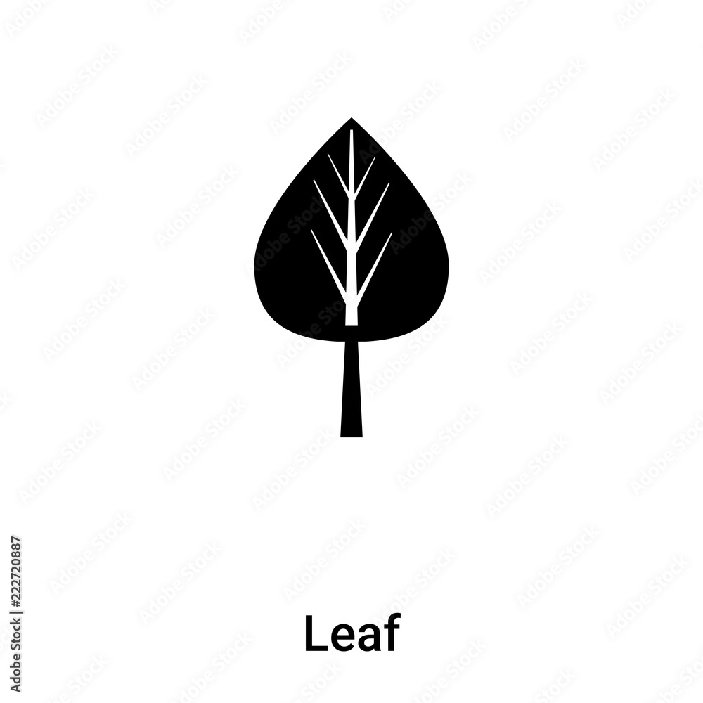 Leaf icon vector isolated on white background, logo concept of Leaf ...