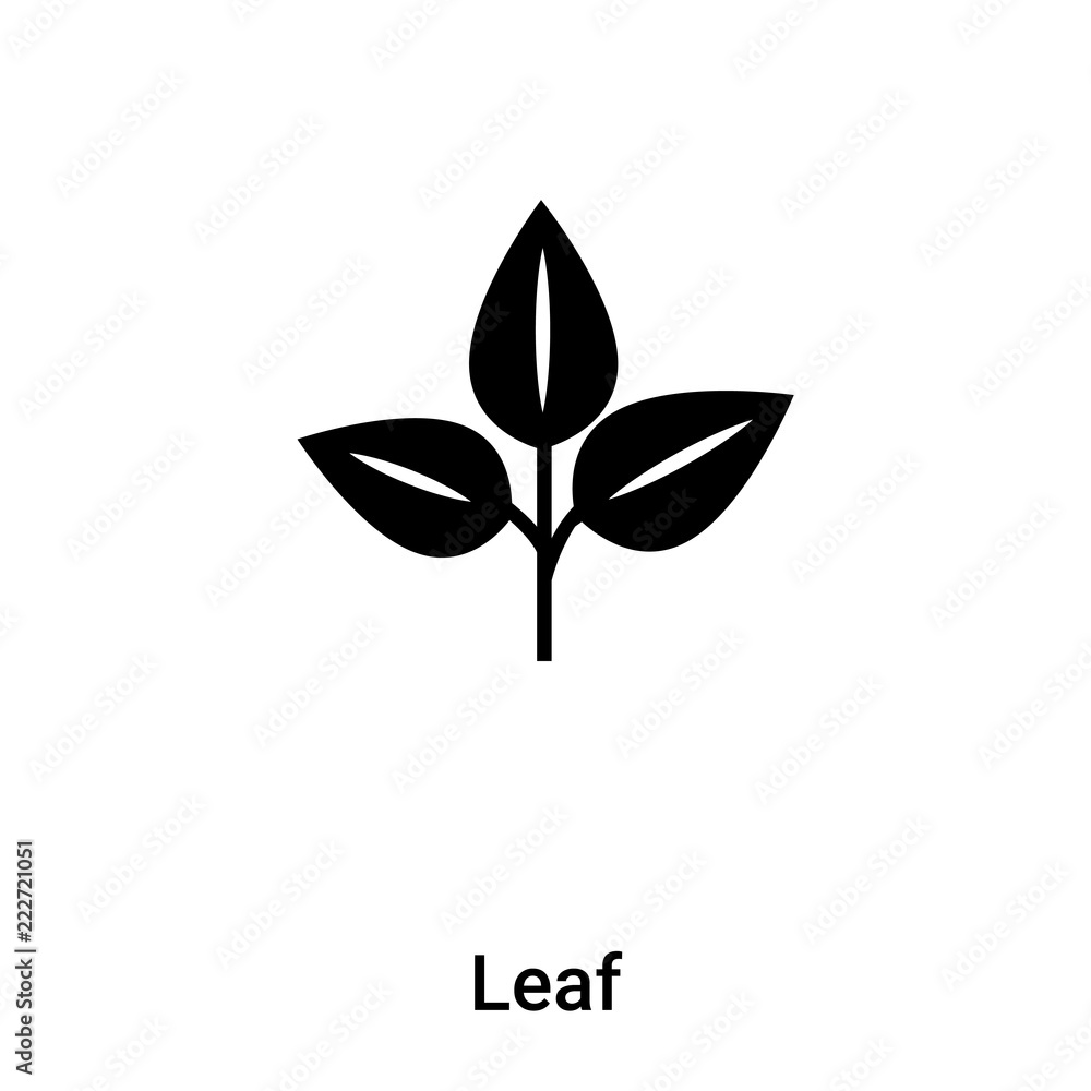 Leaf icon vector isolated on white background, logo concept of Leaf ...