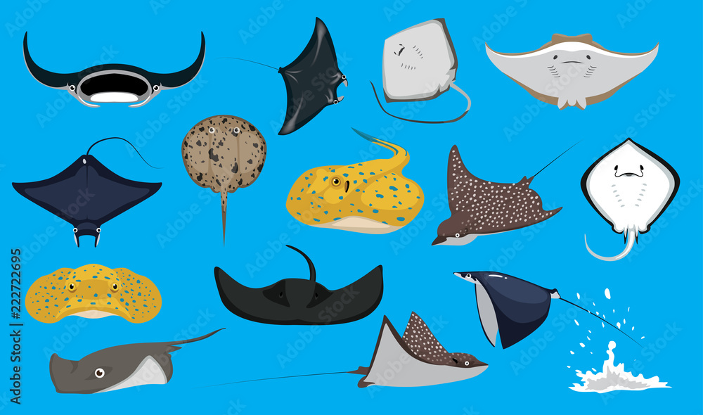 Various Cute Ray Stingray Cartoon Vector Characters Stock Vector ...