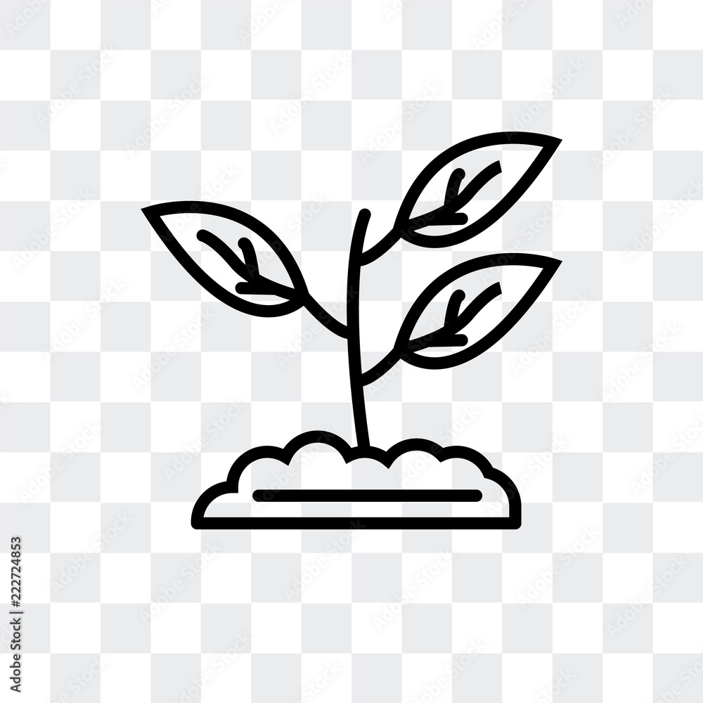 sprout icon isolated on transparent background. Modern and editable ...