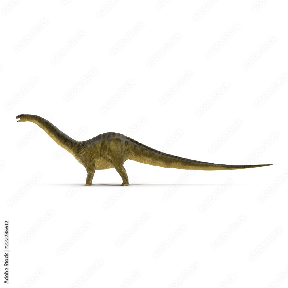 Apatosaurus Dinosaur model on white. Side view. 3D illustration Stock ...