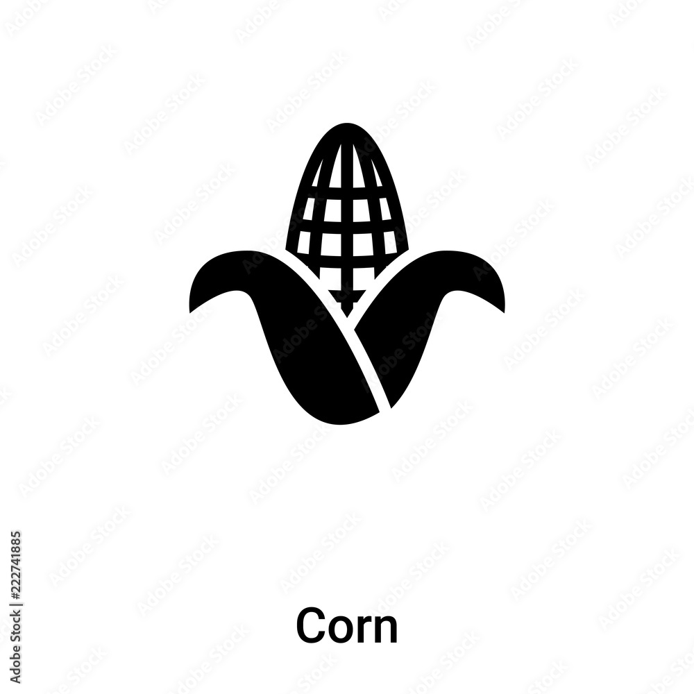 Corn icon vector isolated on white background, logo concept of Corn ...