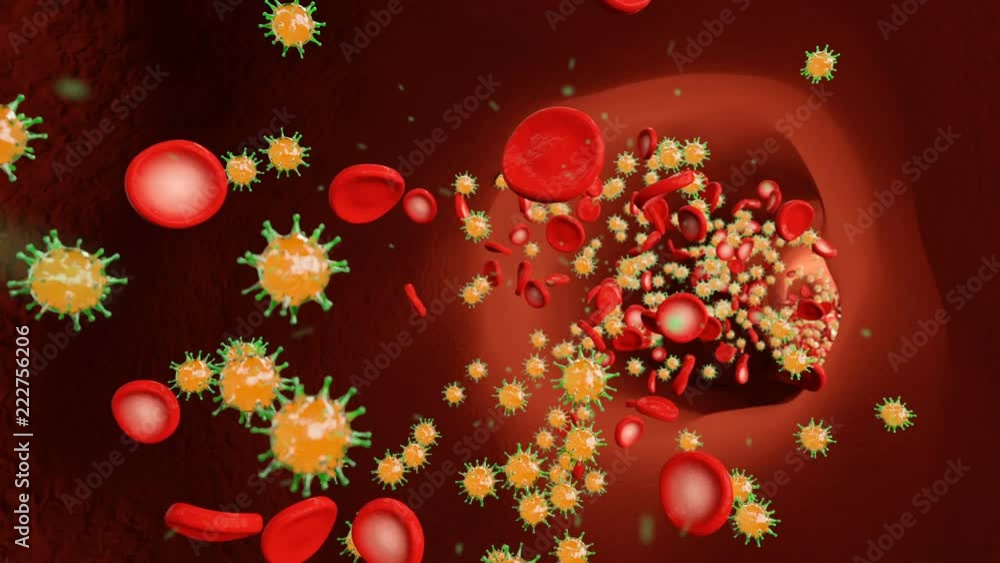 3D animation of a blood poisoning. Erythrocytes red blood cells and ...