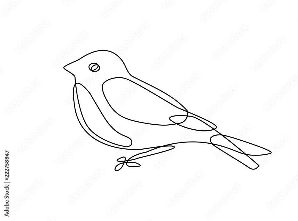 Continuous line drawing of bird Stock Vector | Adobe Stock Continuous line drawing of bird Stock Vector | Adobe Stock