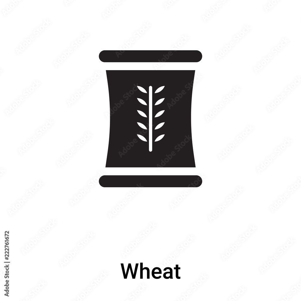 Wheat icon vector isolated on white background, logo concept of Wheat ...