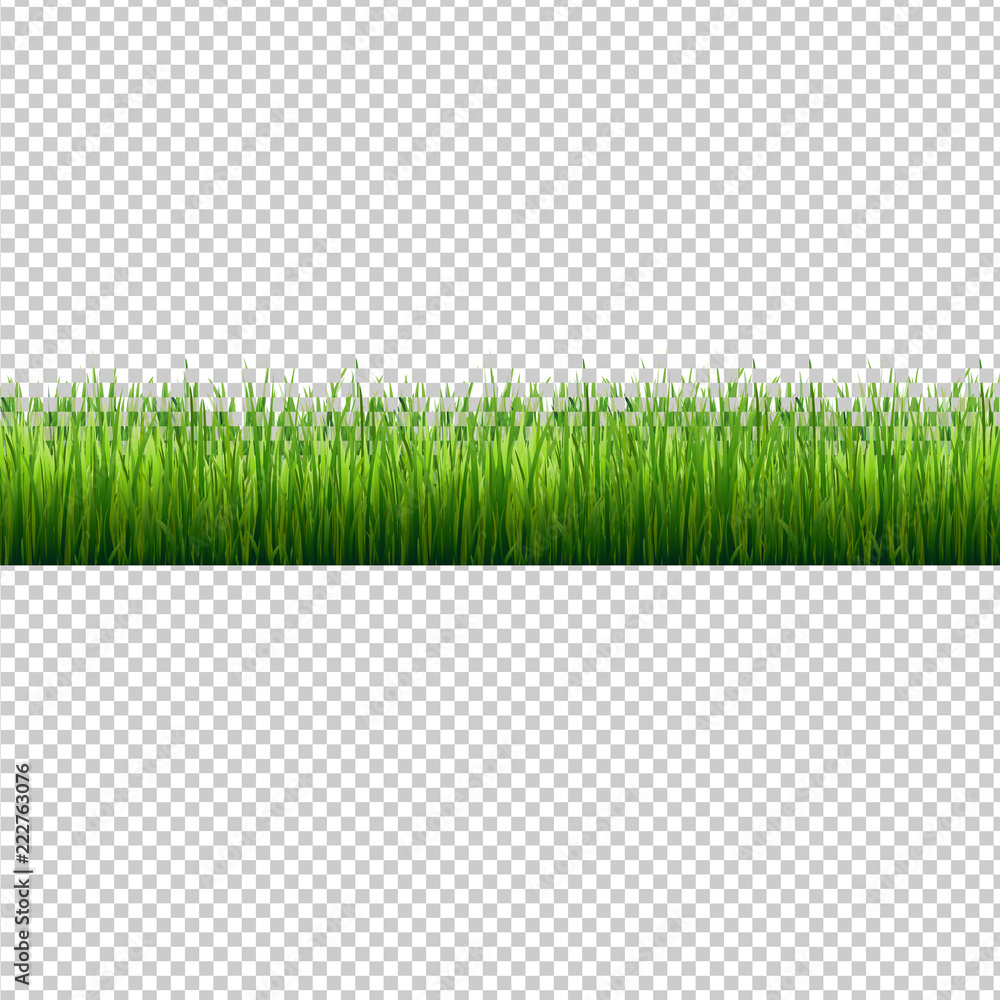 Grass Border Isolated Transparent Background Stock Vector | Adobe Stock
