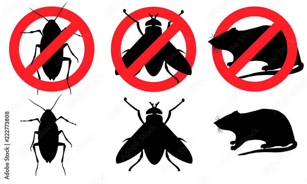 Cockroach, fly, rat. Pest control. Cockroaches (beetles), flies, rats ...