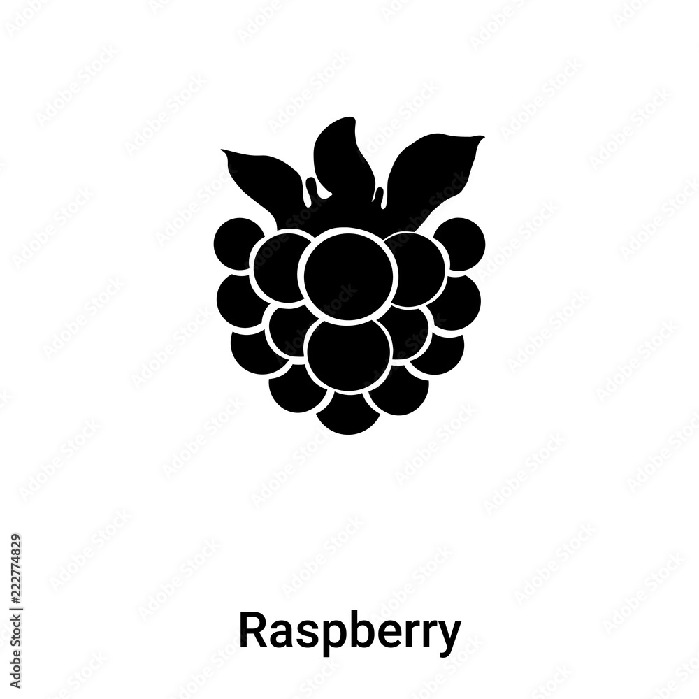 Raspberry icon vector isolated on white background, logo concept of ...