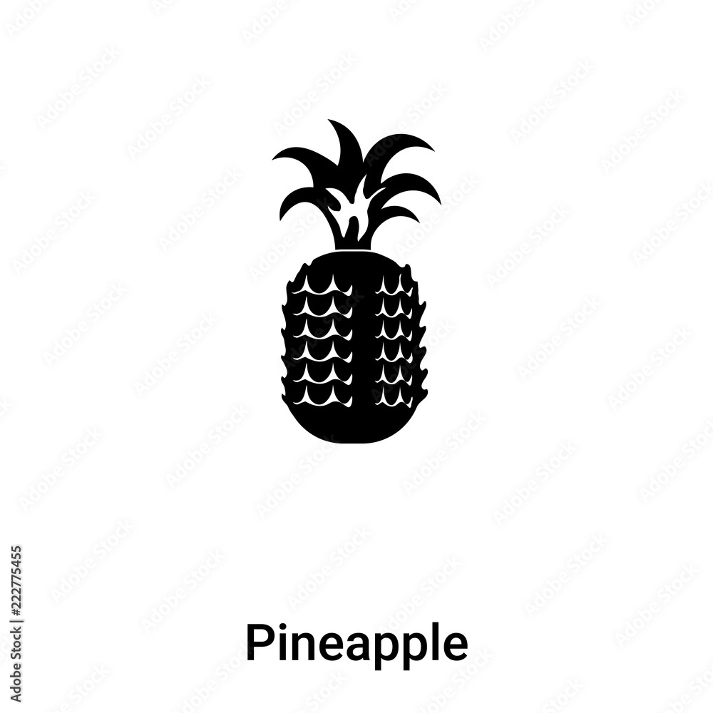 Pineapple icon vector isolated on white background, logo concept of ...