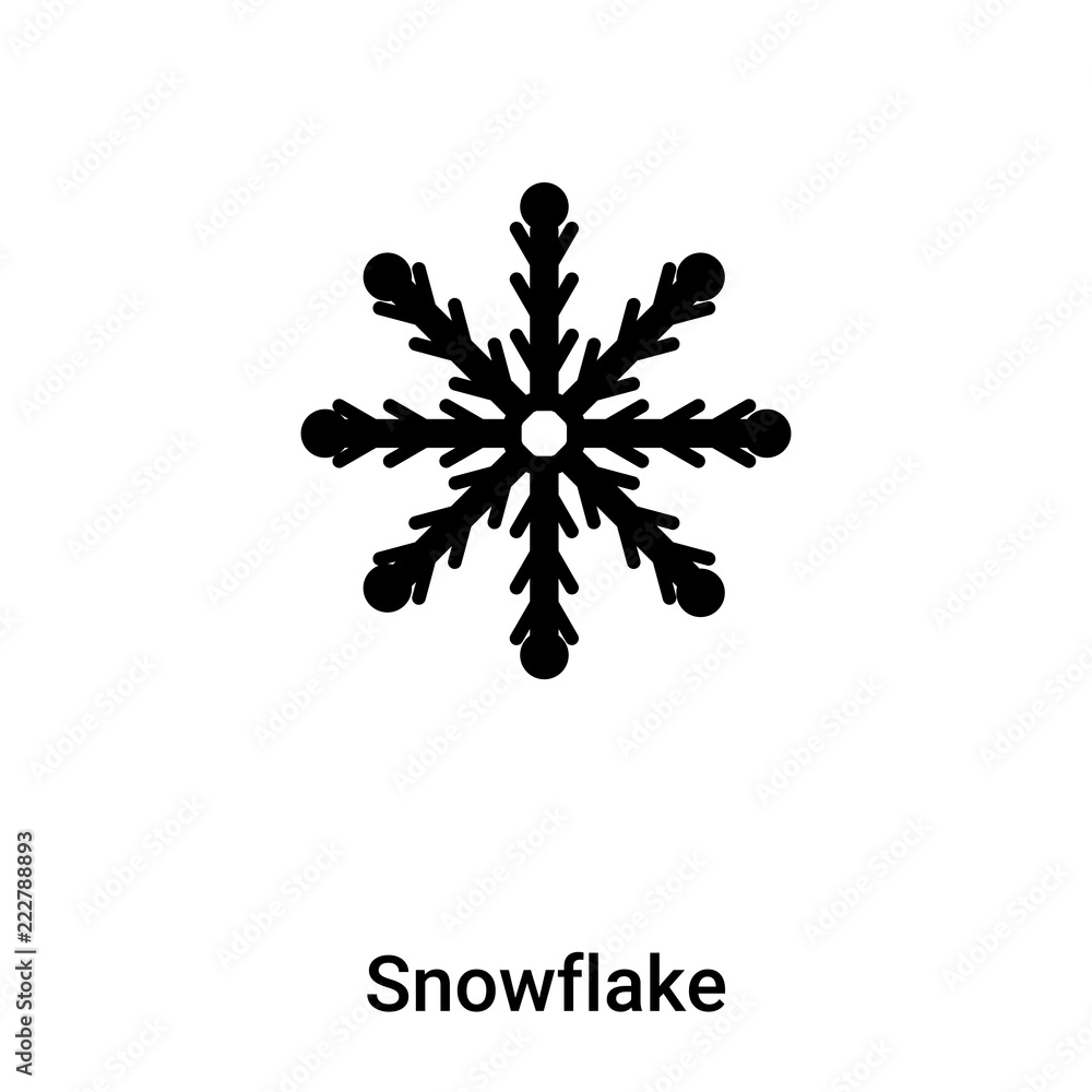 Snowflake Logo White