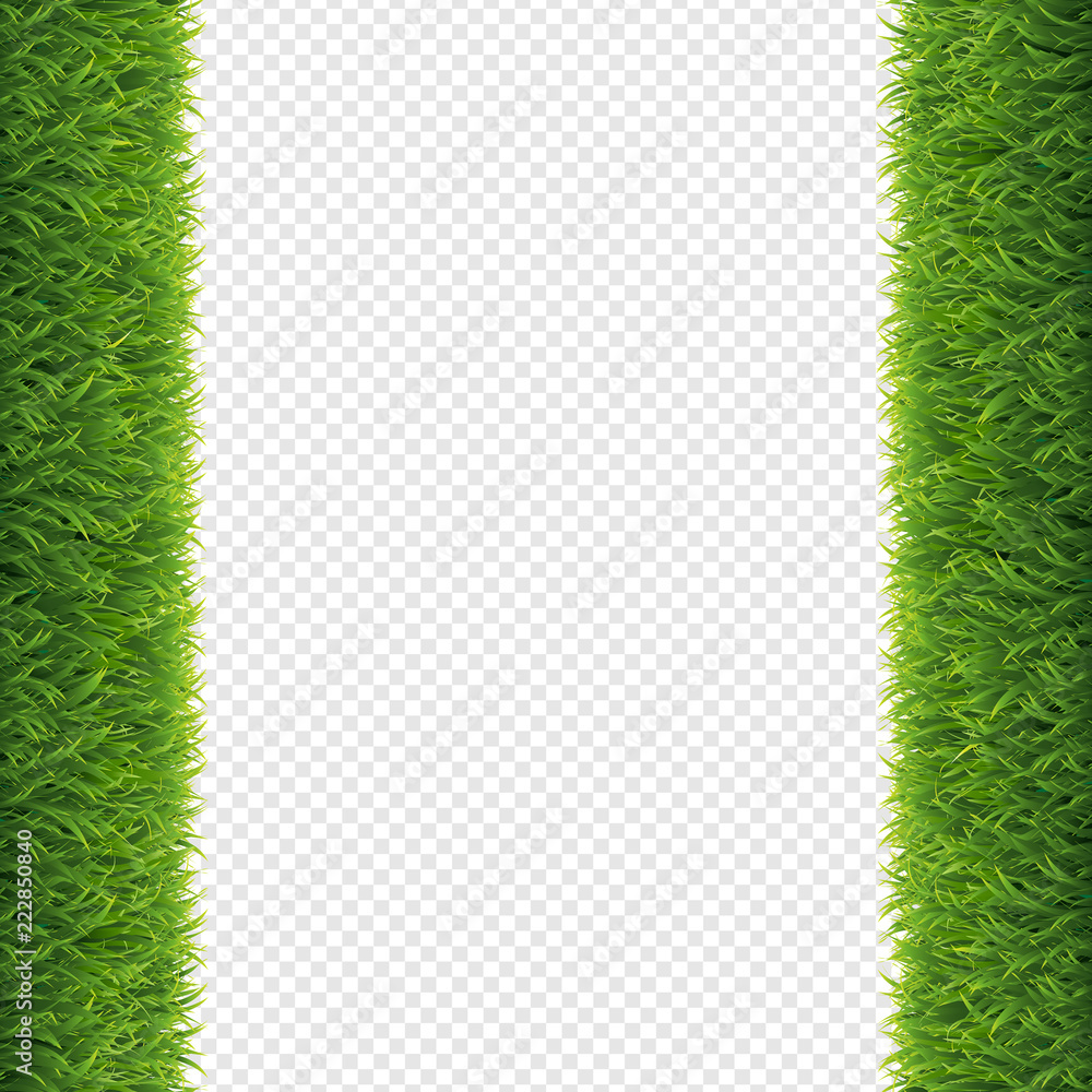 Grass Borders Transparent Background Stock Vector | Adobe Stock