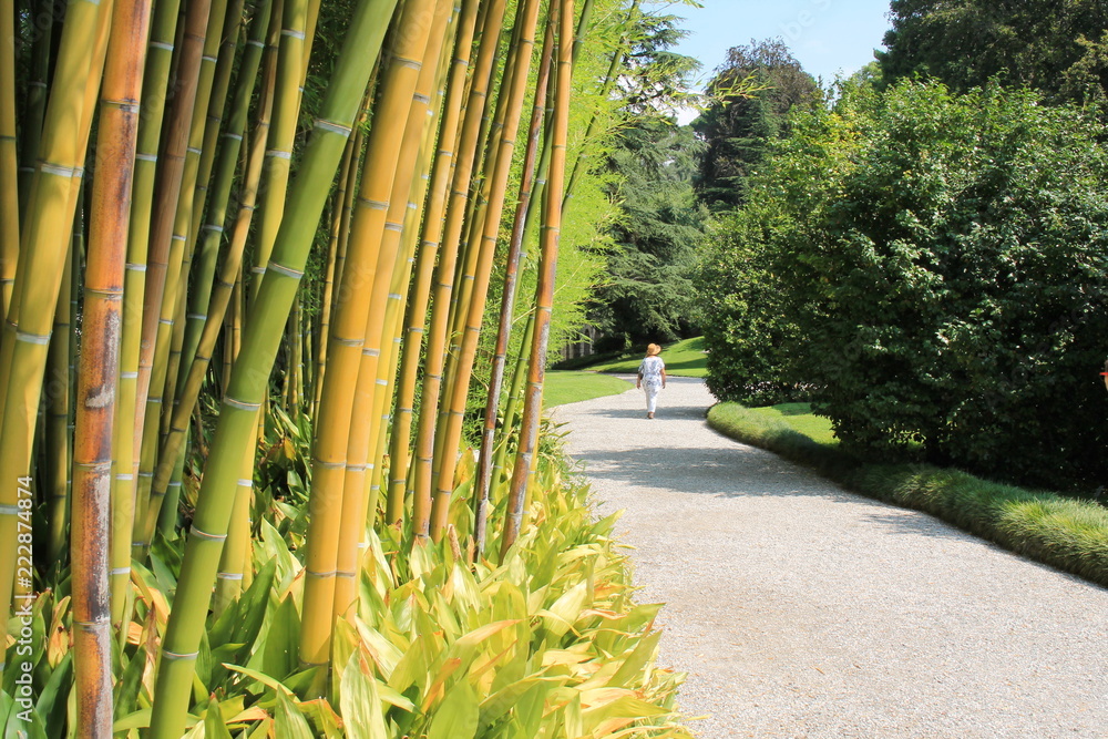 Jardin botanique à Bellagio, le luxueux village sur les rives du lac de ...