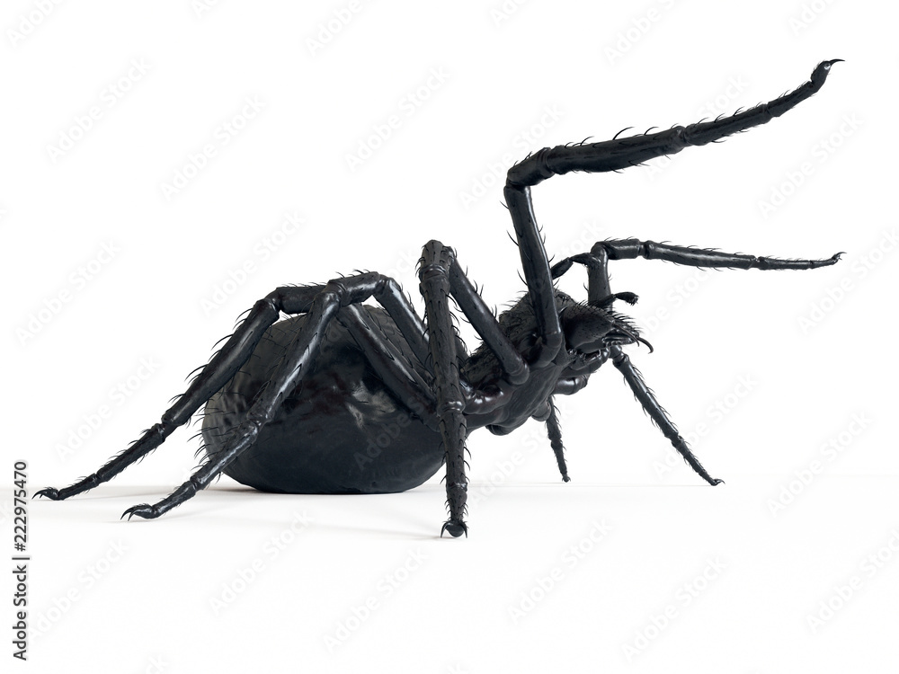 3d rendered illustration of a giant spider Stock Illustration | Adobe Stock