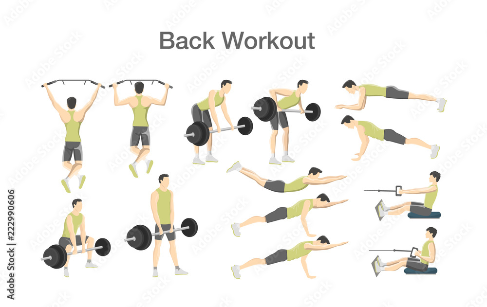 Back workout for men with different tools Stock Vector | Adobe Stock