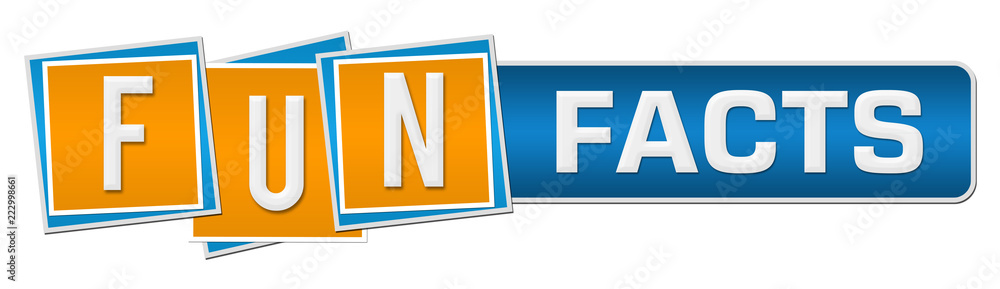Fun Facts Blue Orange Squares Bar Stock Illustration | Adobe Stock
