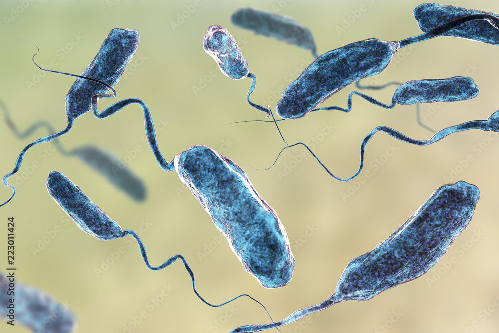 Vibrio cholerae bacteria, 3D illustration. Bacterium which causes ...