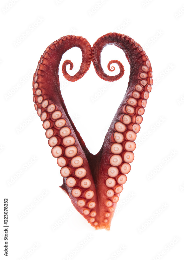 Octopus Heart