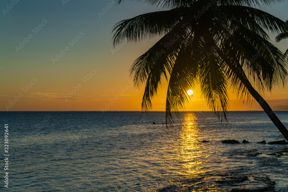 Fijian Sunset wall mural wallpaper | Muraledesign.com