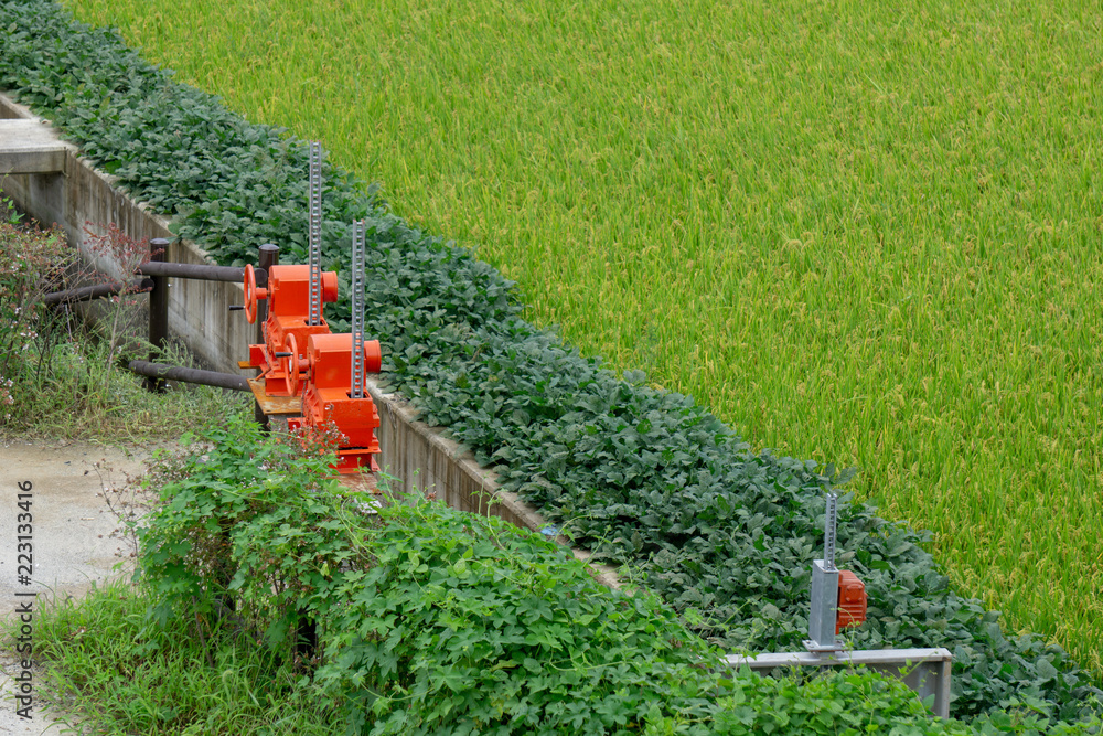 Rice Field Gates