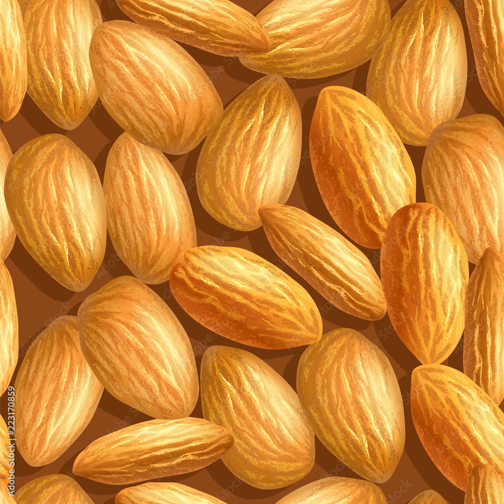 Realistic almonds texture. Seamless vector pattern. Template for ...