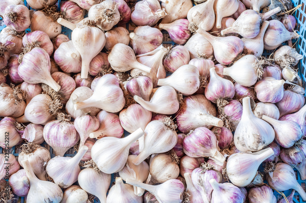 White garlic texture. Fresh garlic on market table closeup photo ...