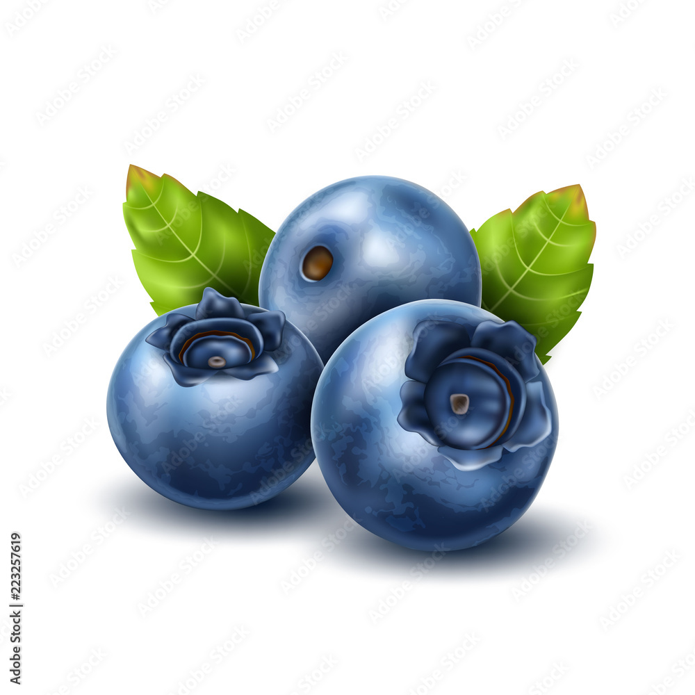 Vector realistic blueberry with 3d leaves set Stock Vector | Adobe Stock