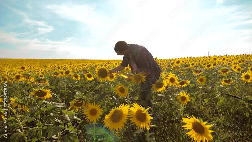 Man farmer hand hold bottle of sunflower oil the field at lifestyle ...