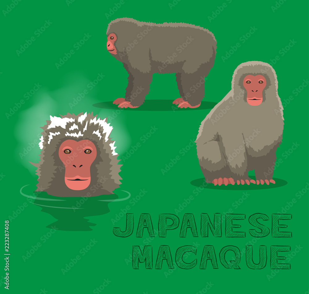 Japanese Macaque Cartoon Vector Illustration Stock Vector | Adobe Stock