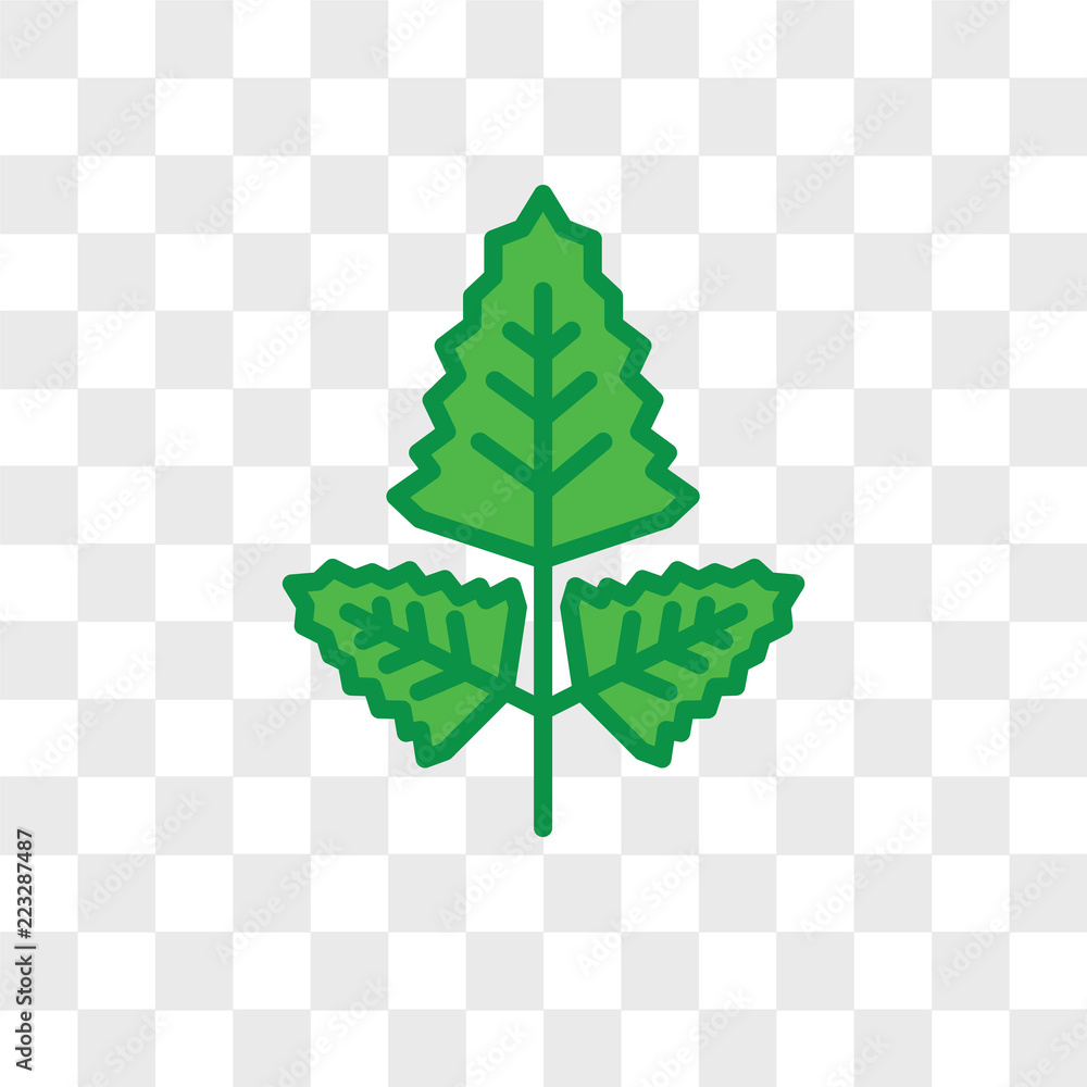 Rhomboid vector icon isolated on transparent background, Rhomboid logo ...