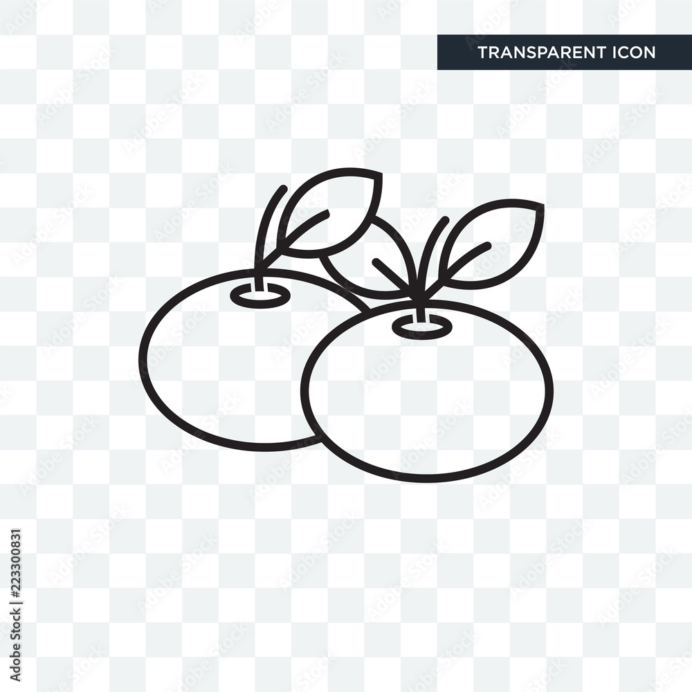 Tangerine vector icon isolated on transparent background, Tangerine ...