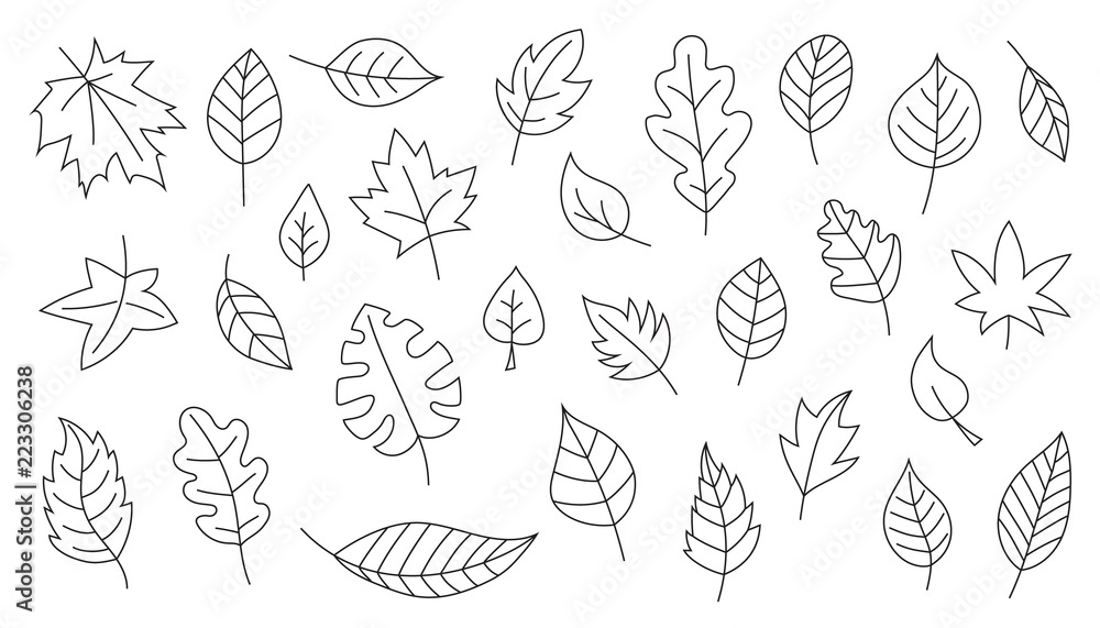 simple leaves line Stock Vector | Adobe Stock