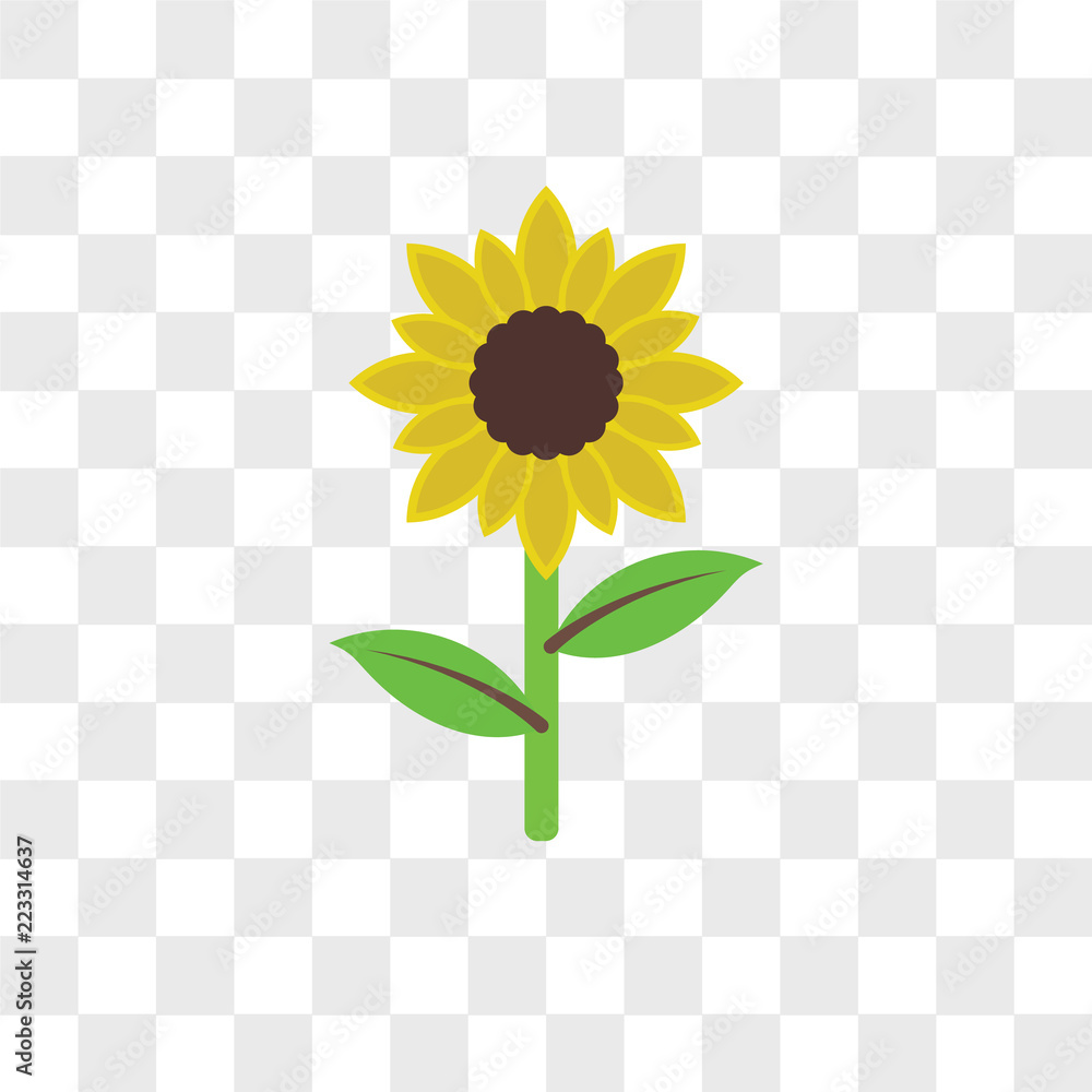 Sunflower vector icon isolated on transparent background, Sunflower ...