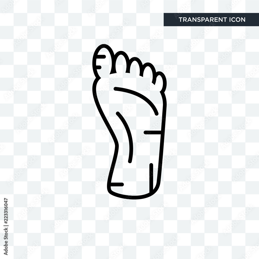 Human Foot vector icon isolated on transparent background, Human Foot ...