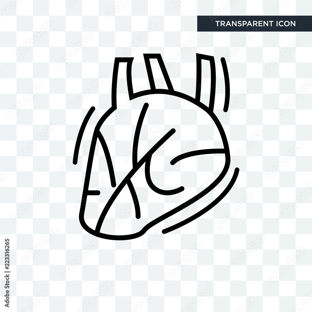 Human Heart vector icon isolated on transparent background, Human Heart ...