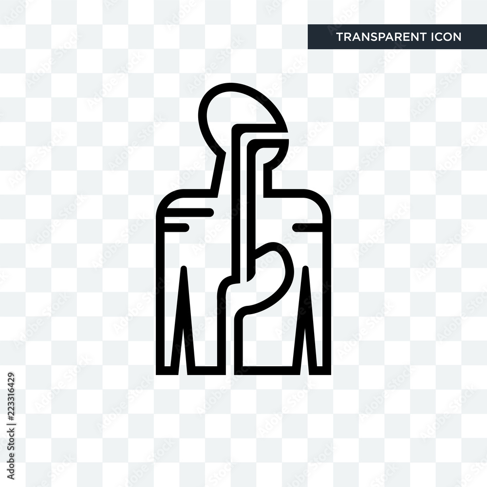 Digestive System vector icon isolated on transparent background ...