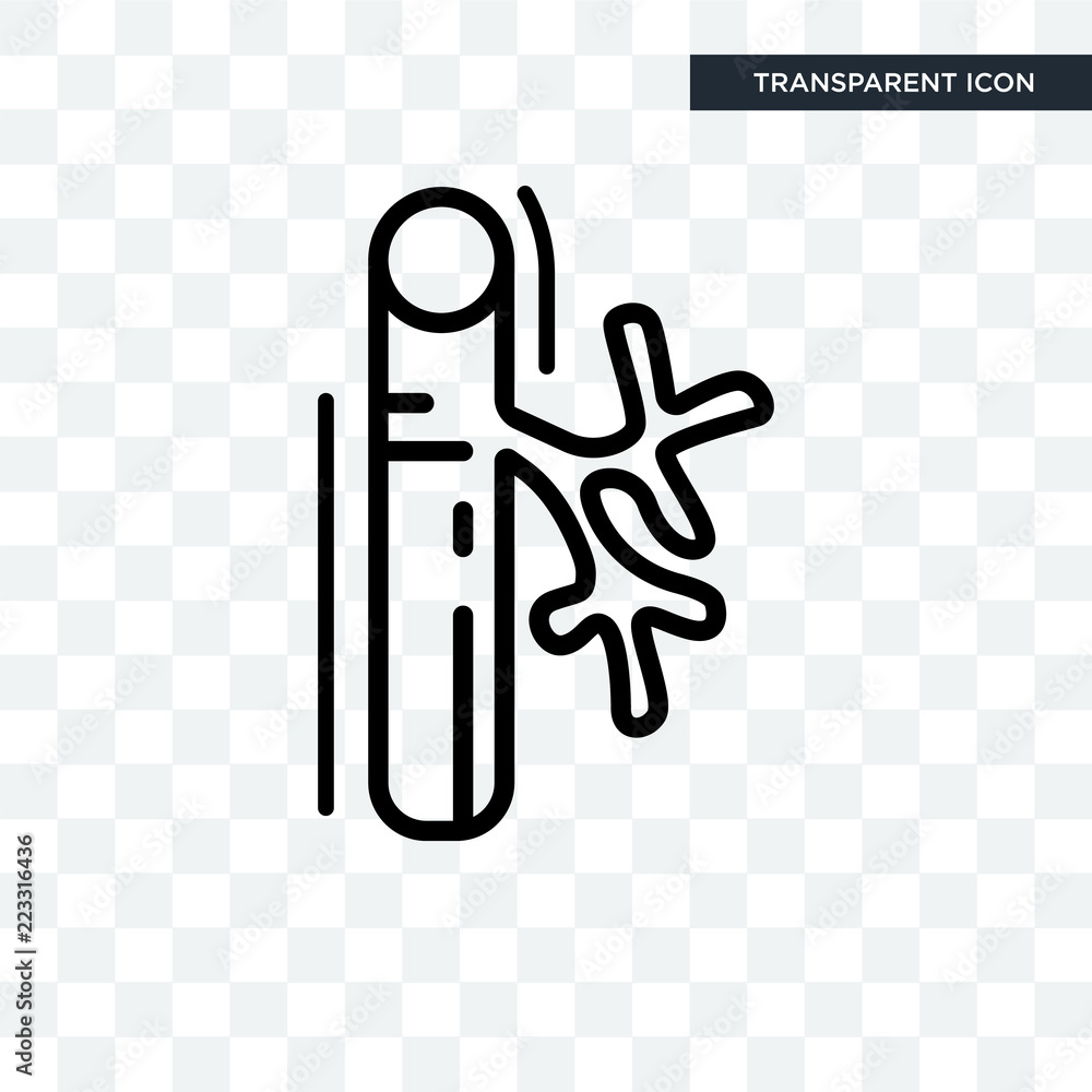 Blood Vessel vector icon isolated on transparent background, Blood ...
