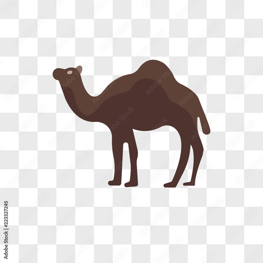 Camel Camel Transparent Background PNG Clipart HiClipart, 47% OFF